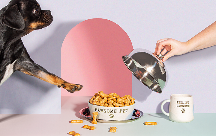 Gifts for Animal Lovers | Pet Lovers Presents | Sass & Belle