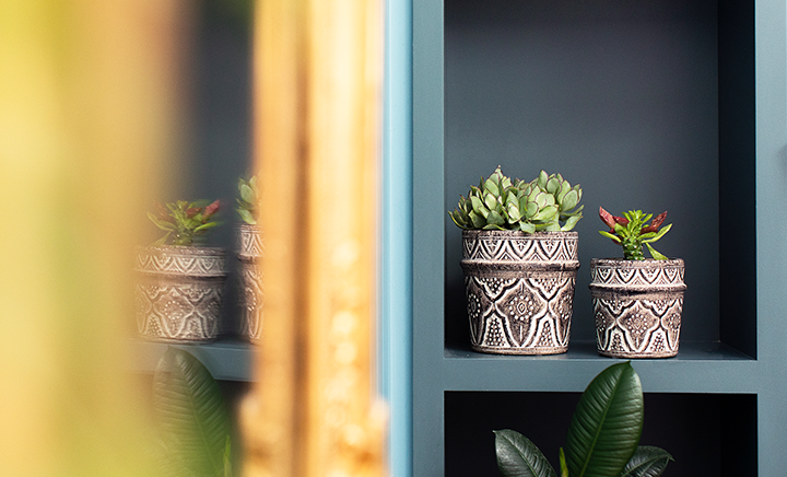 Fun Indoor Planters | Small & Quirky Plant Pots | Sass & Belle